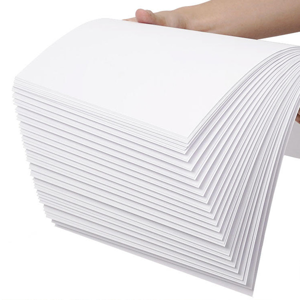 FBB - Buy FBB, fbb paper board, ivory board paper Product on Double ...